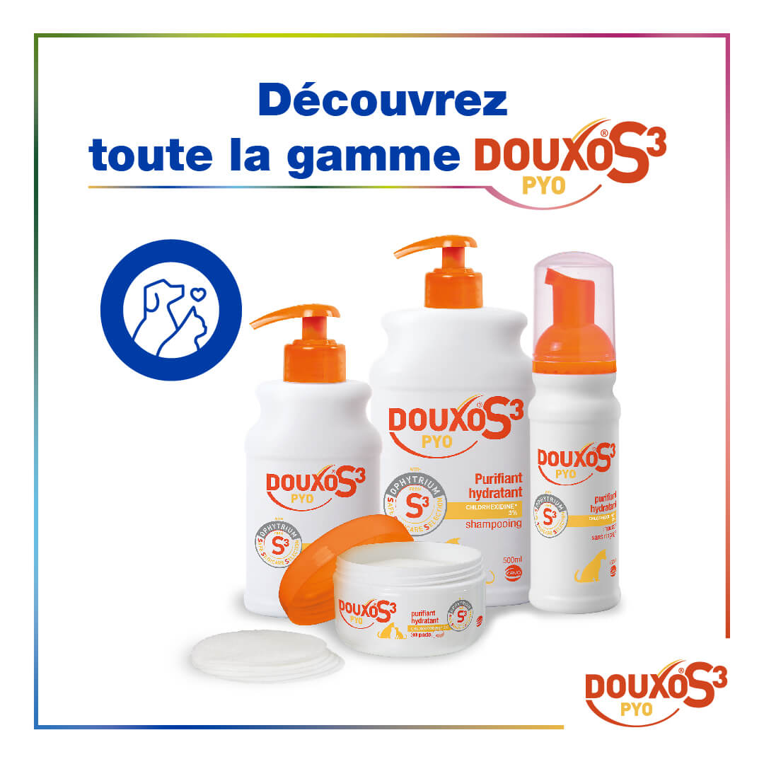 DOUXO® S3 PYO Shampooing Antiseptique pour Chiens et Chats