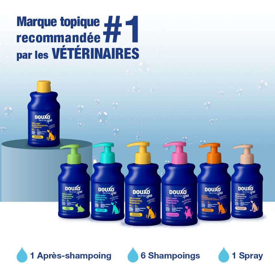 DOUXO Spa : Soins Quotidiens pour la Peau Sensible du Chien