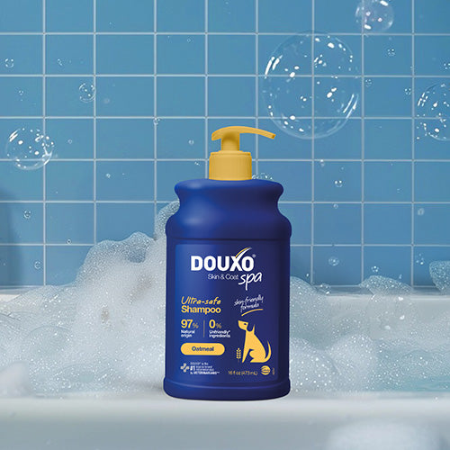 DOUXO Spa : Soins Quotidiens pour la Peau Sensible du Chien